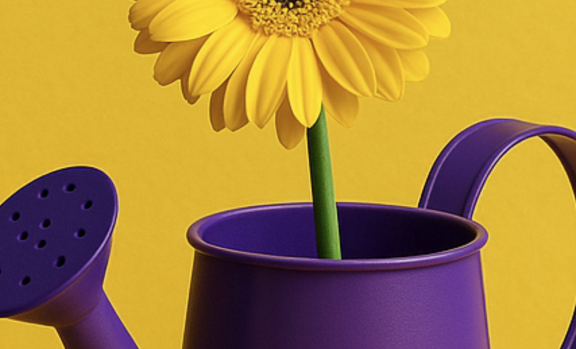 Foap.com: 📸 Capture the Power of Complementary Colors